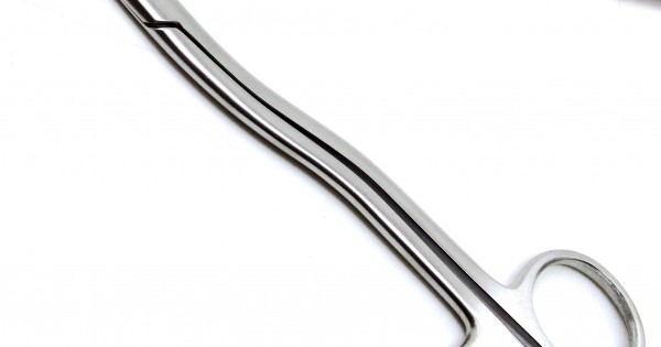 Heath Scissors Straight 6.25"