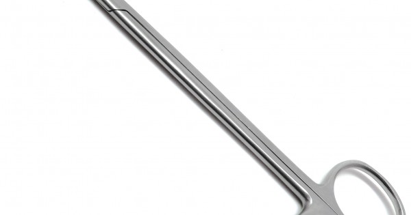 Kelly Sharp/Sharp Straight 7"