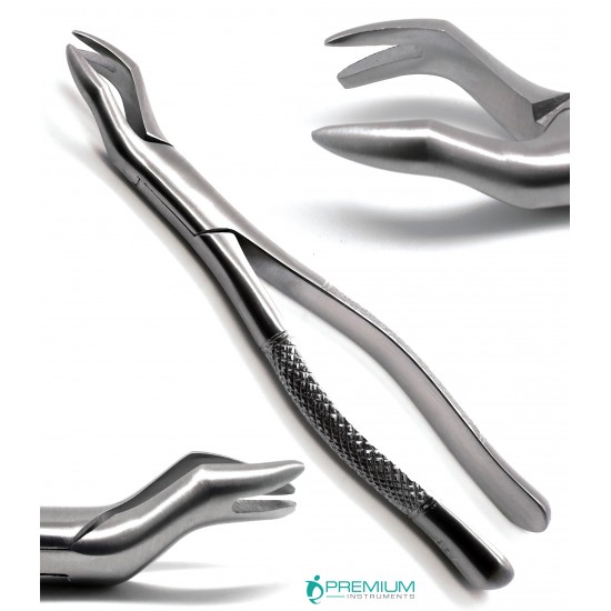 Dental Forcep 88L
