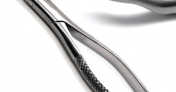 Dental Forcep 88L