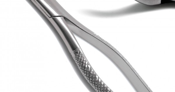Dental Forcep 88R