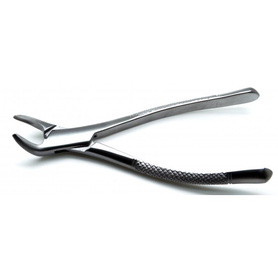 Dental Forceps 151