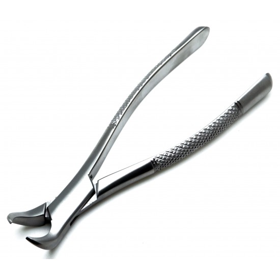 Dental Forcep 23