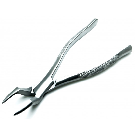 Dental Forceps 65