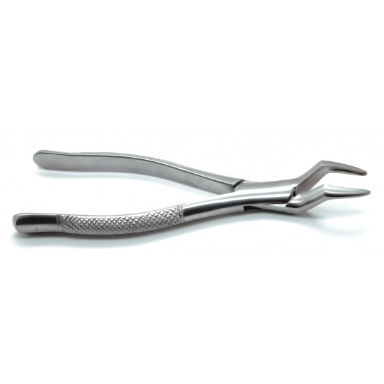 Dental Forceps 65