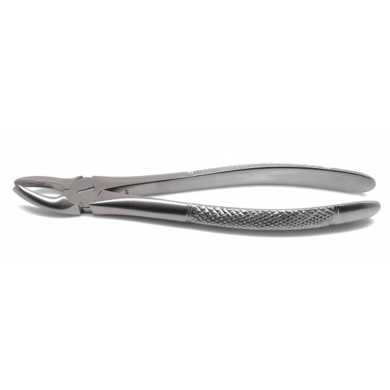 Dental Forcep MD2